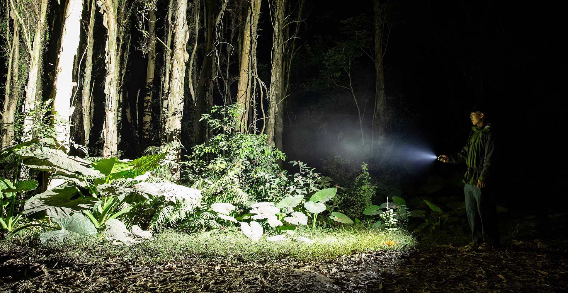 Survival Gear: Essential Lighting For Your Emergency Kit